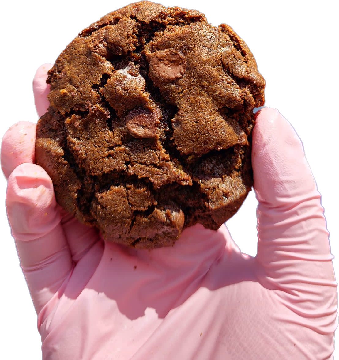 Signature Cookies – Higher Flour